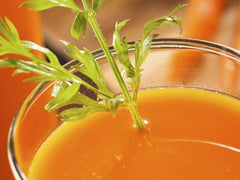 Fresh Start Juice, Carrot Juicers, Celery Juice Recipes, Fruit Juicers ...