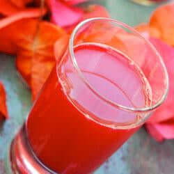 Ruby Sipper – Omega Juicers