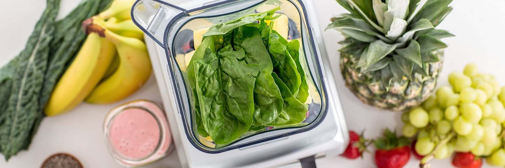 Omega Blenders, High Powered Blenders, Juice Blenders, Kitchen Blender