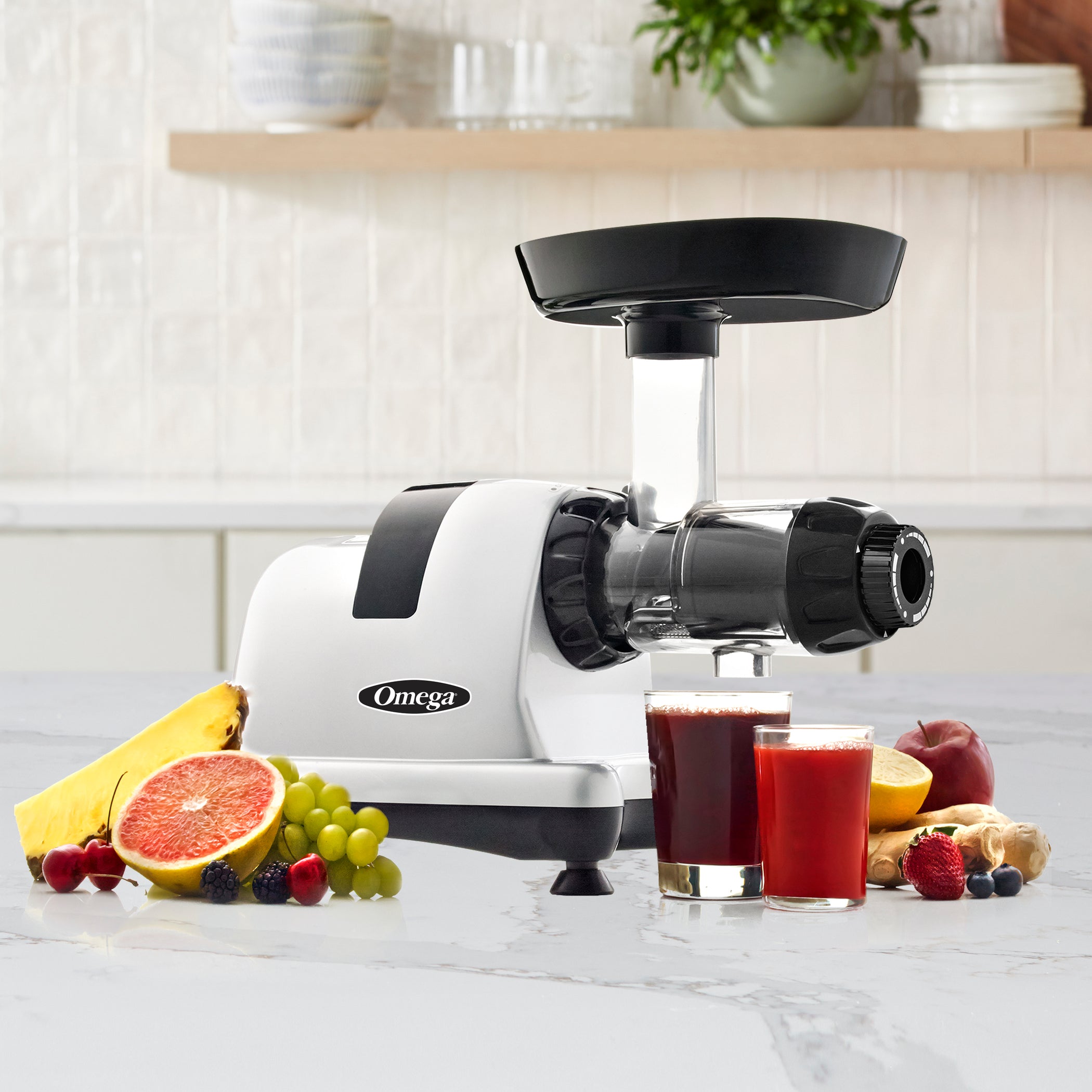 Omega All in One Nutrition System Cold Press Juicer (J8006) – Omega Juicers